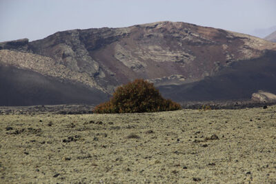 Descubre la fascinante colada de lava en acción