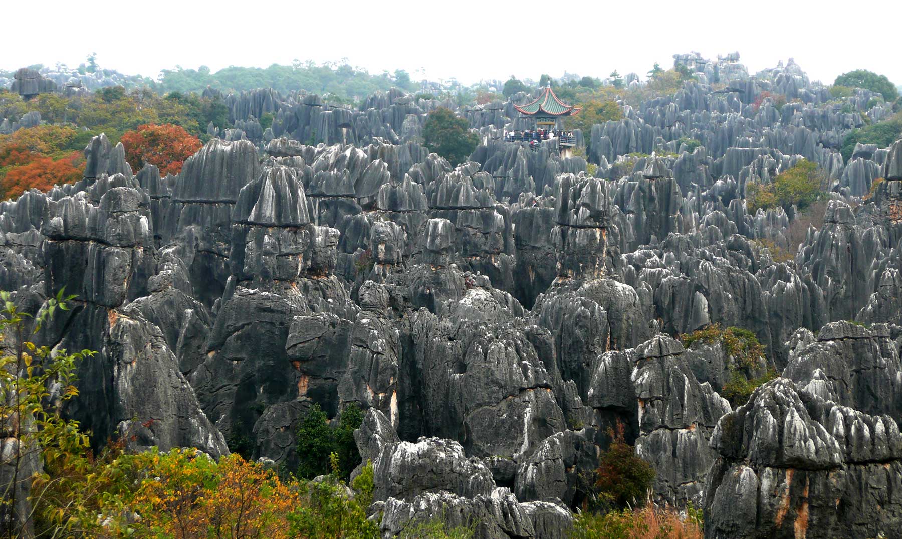 Descubre los fascinantes tipos de karst en la naturaleza